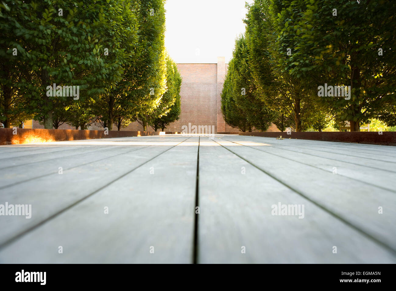 Walkway Between Two Rows of Trees Stock Photo - Alamy