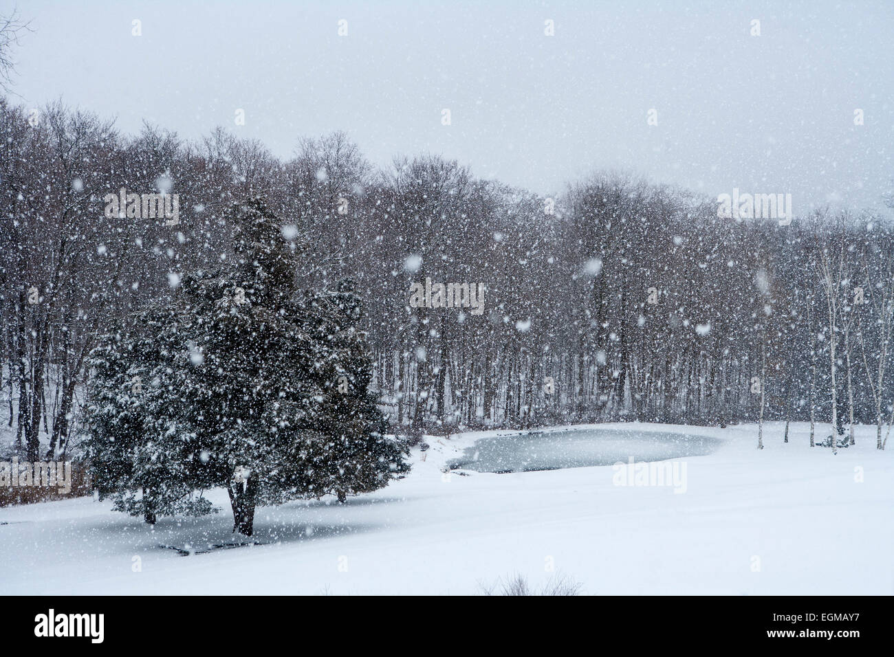 Snow Falling on Winter Landscape with Trees and Pond Stock Photo - Alamy
