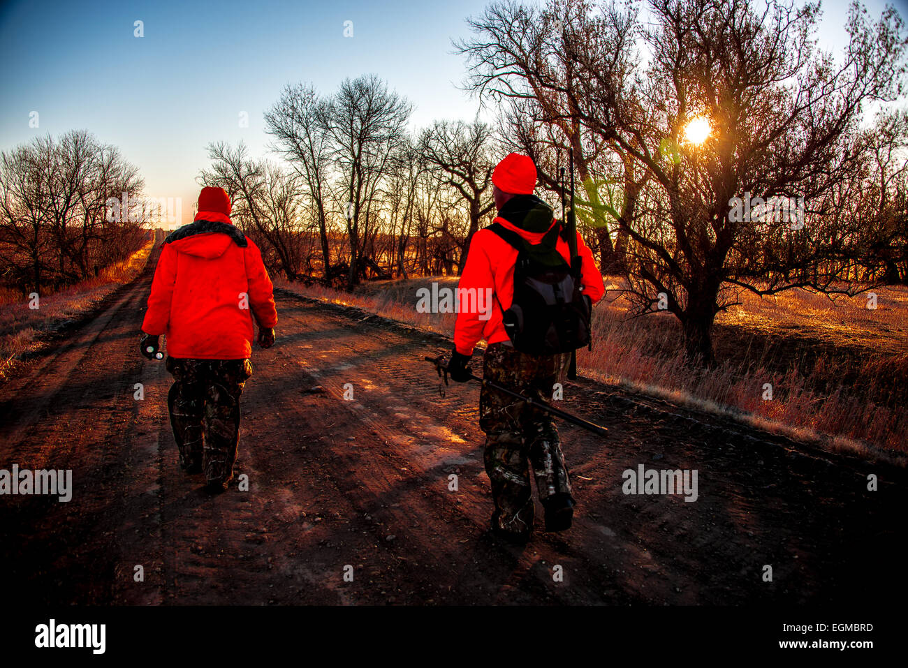 Man deer hi-res stock photography and images - Alamy