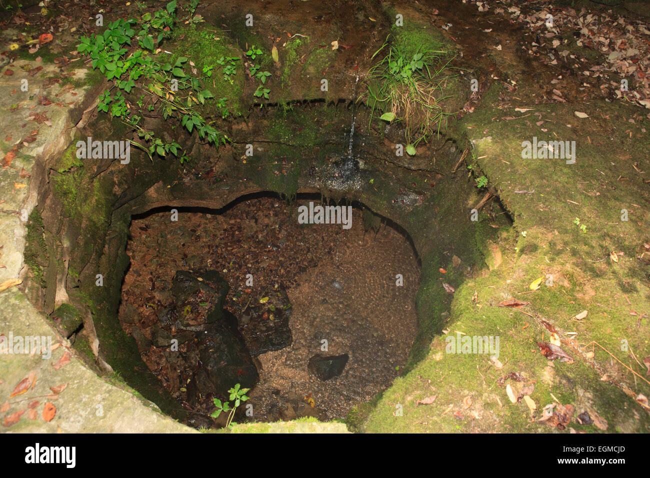 Sinking Spring at Abraham Lincoln Birthplace National HIstorical Park ...