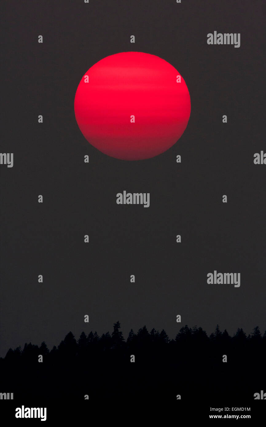 Red sun hi-res stock photography and images - Alamy