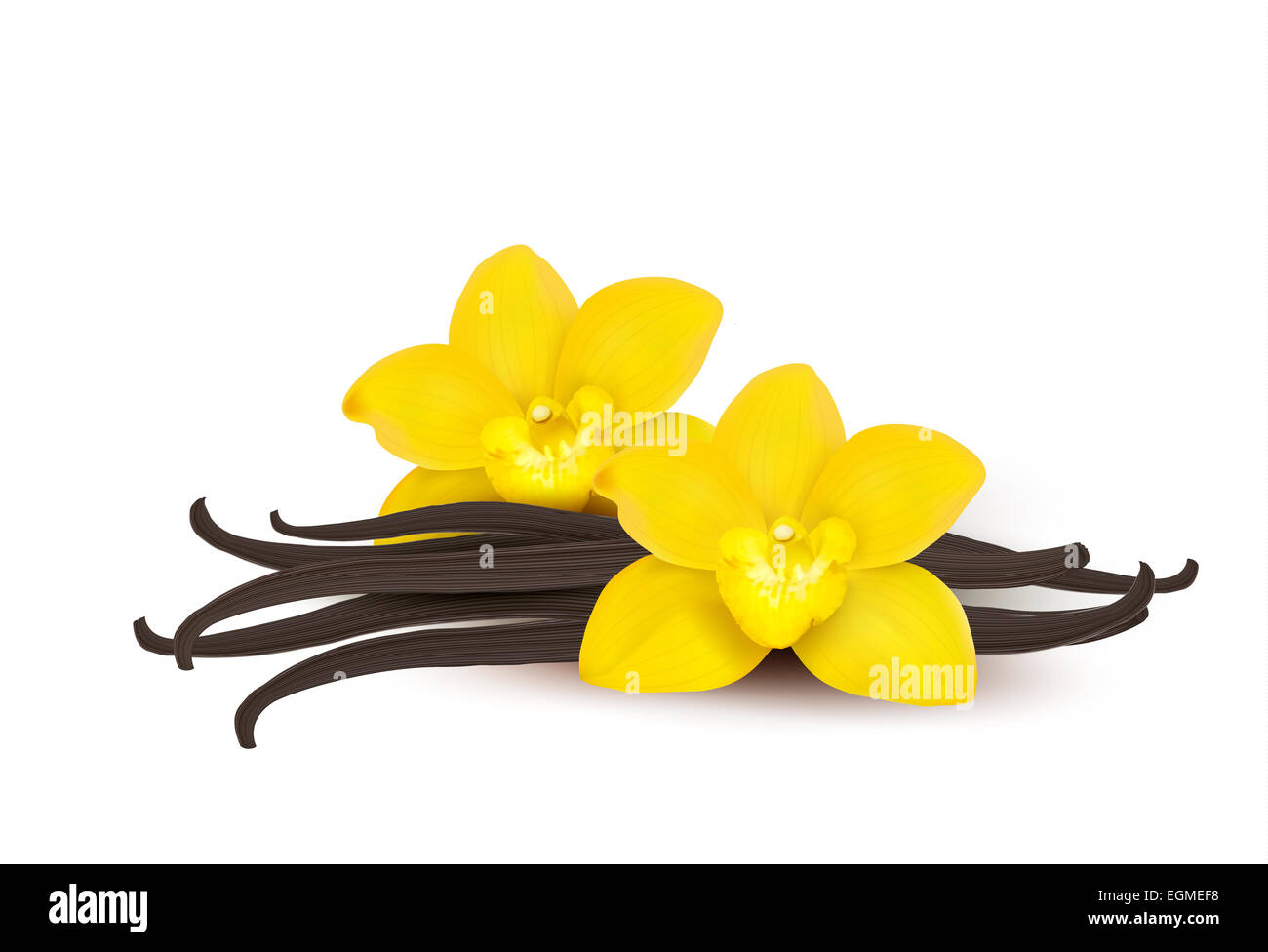 Vanilla background. Vector Stock Photo - Alamy