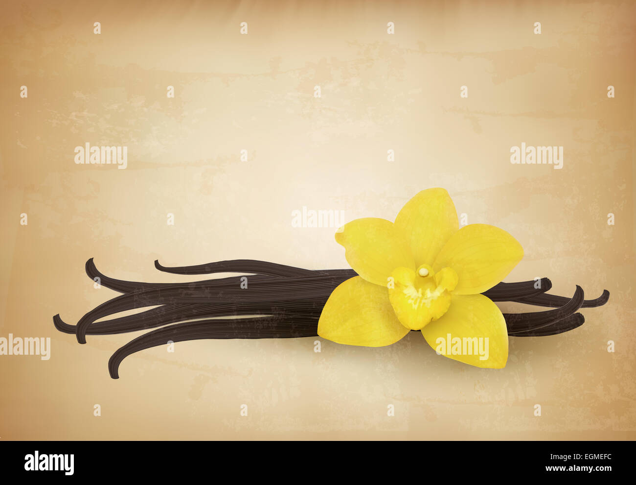 Vanilla retro background. Vector Stock Photo - Alamy