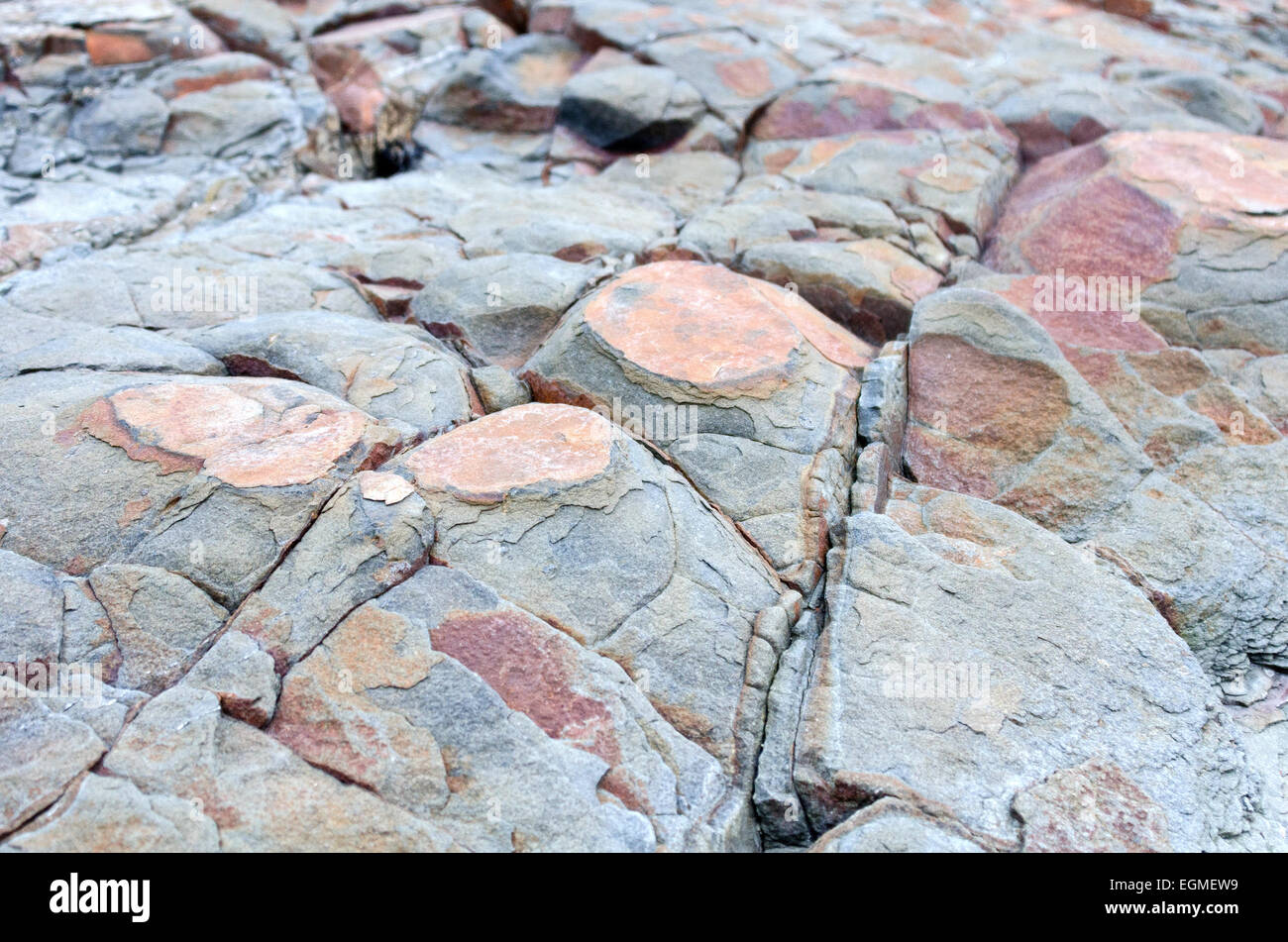 Unusual erosion patterns in Bar Harbor Formation stone ledges, Maine ...