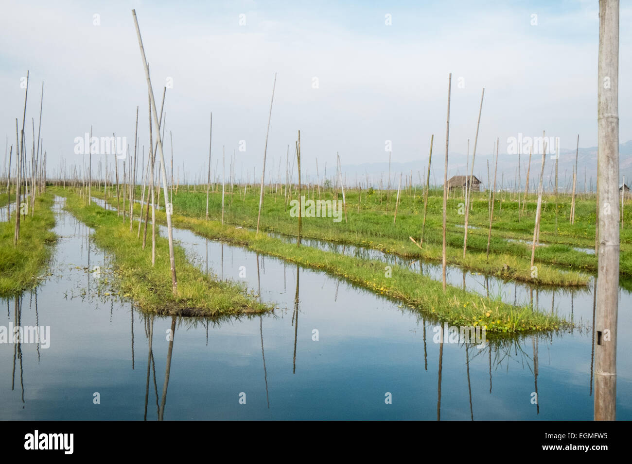 floating garden at Inle Lake,Burma,Myanmar Stock Photo - Alamy