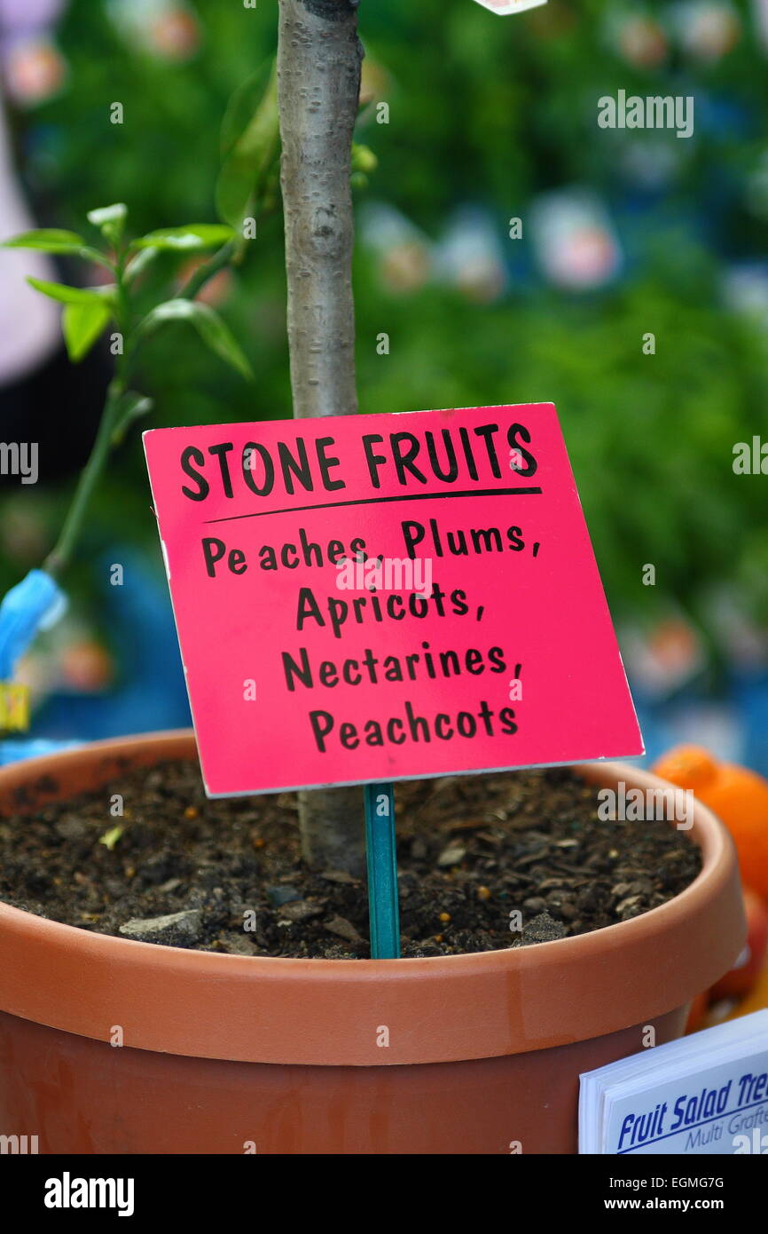 Stone fruits label Stock Photo - Alamy