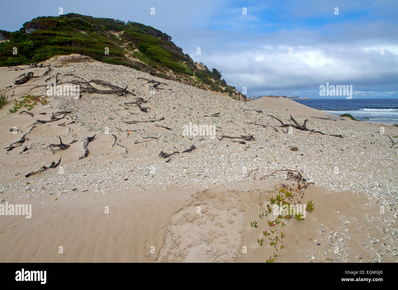 Aboriginal midden on Stephens Bay on Tasmania's south coast Stock Photo ...
