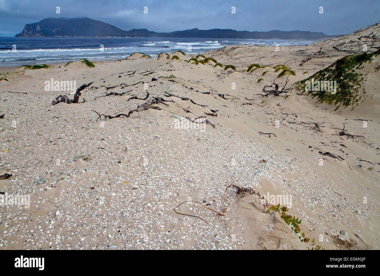 Aboriginal midden on Stephens Bay on Tasmania's south coast Stock Photo ...