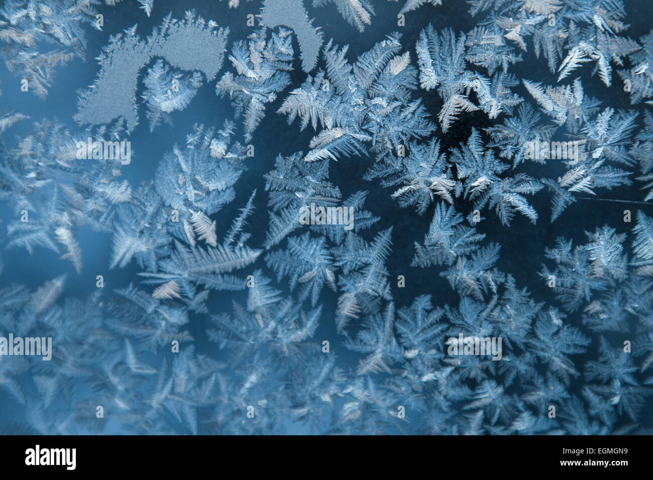 Winter window ice icy frost cold rime hi-res stock photography and ...