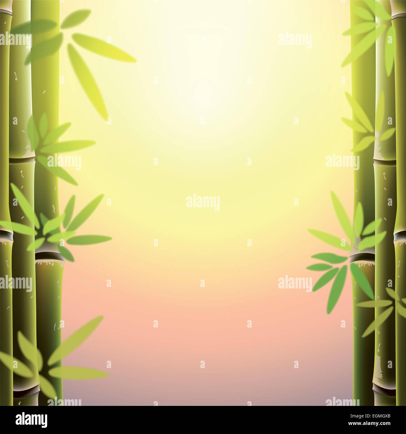 Bamboo trees and leaves at sunset time Stock Photo - Alamy