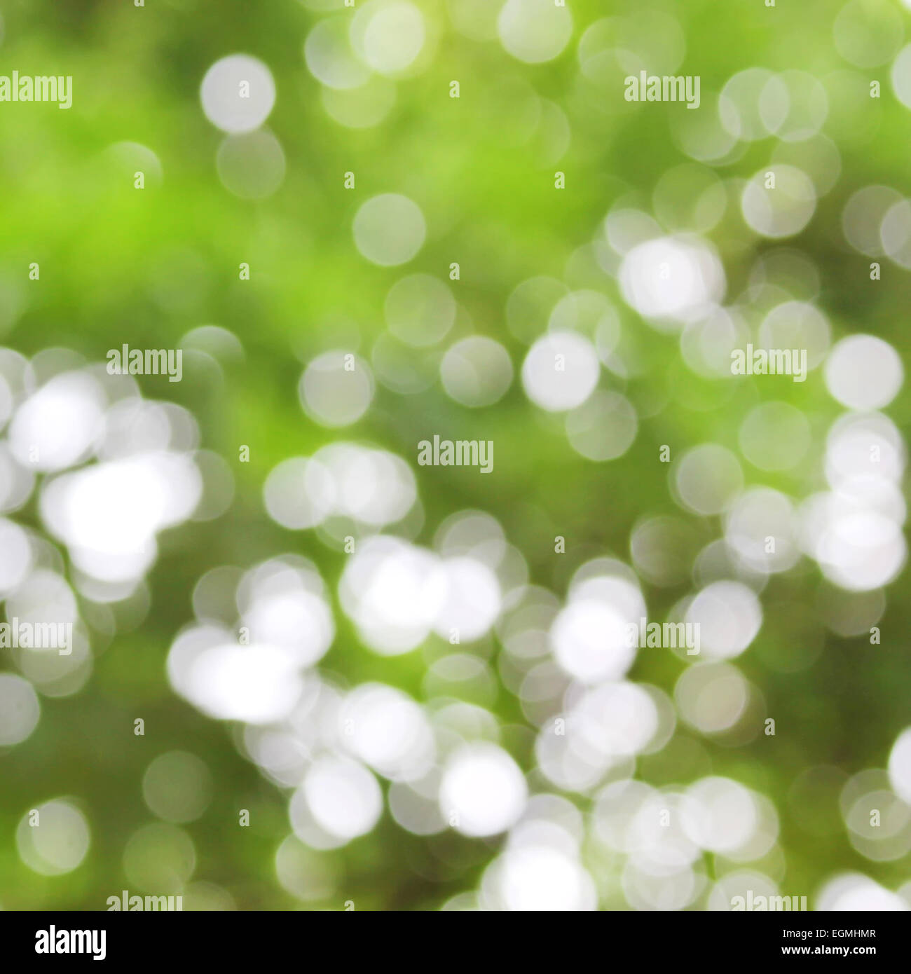 Nature green bokeh abstract background Stock Photo - Alamy