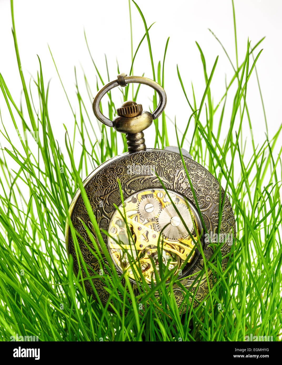 Vintage pocket watch in fresh green grass Stock Photo - Alamy