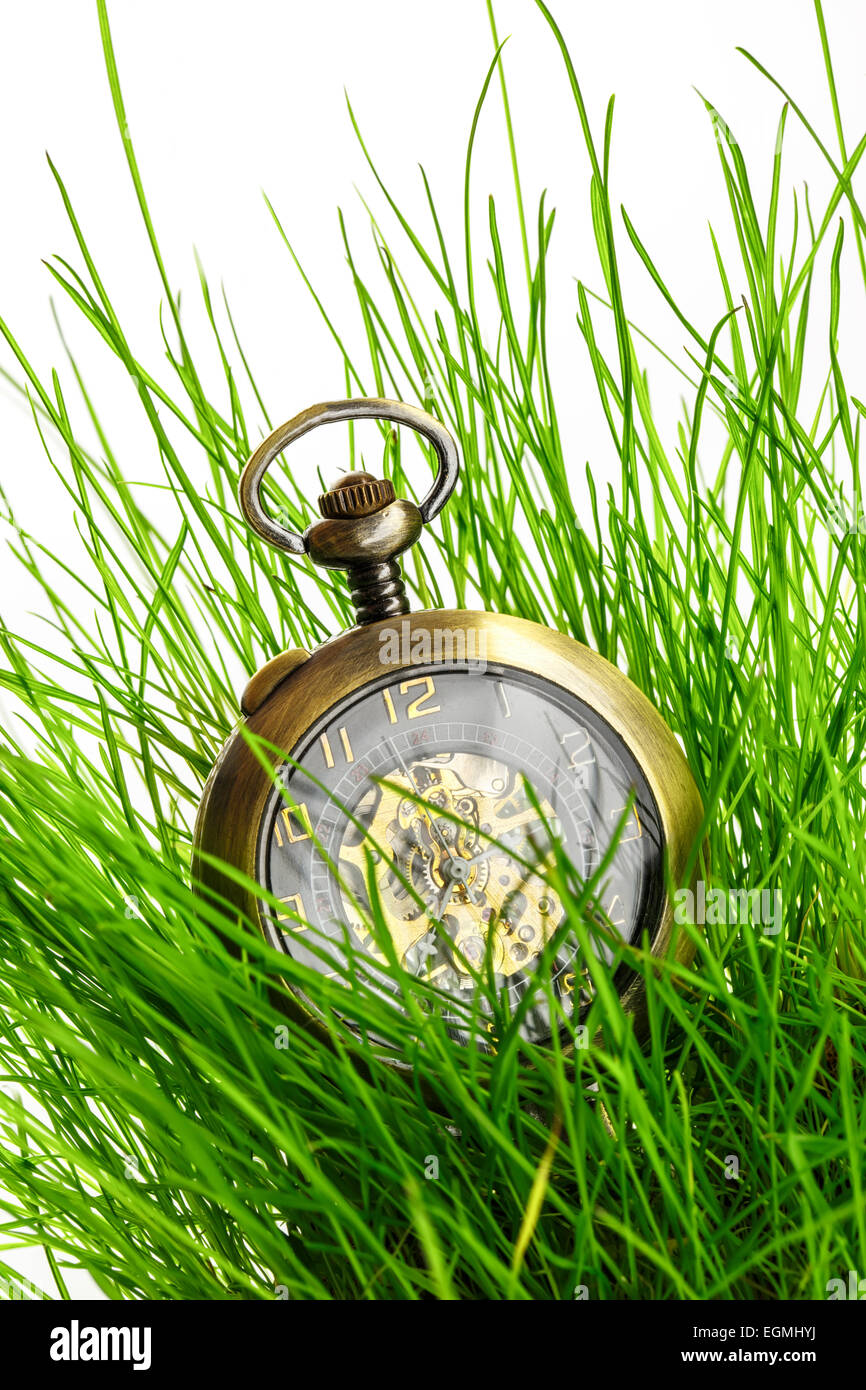 Vintage pocket watch in fresh green grass Stock Photo - Alamy