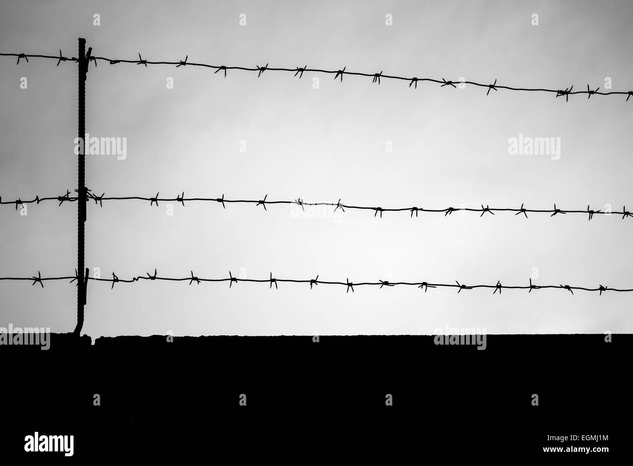Black barbed wire silhouette on dark gray sky background Stock Photo ...