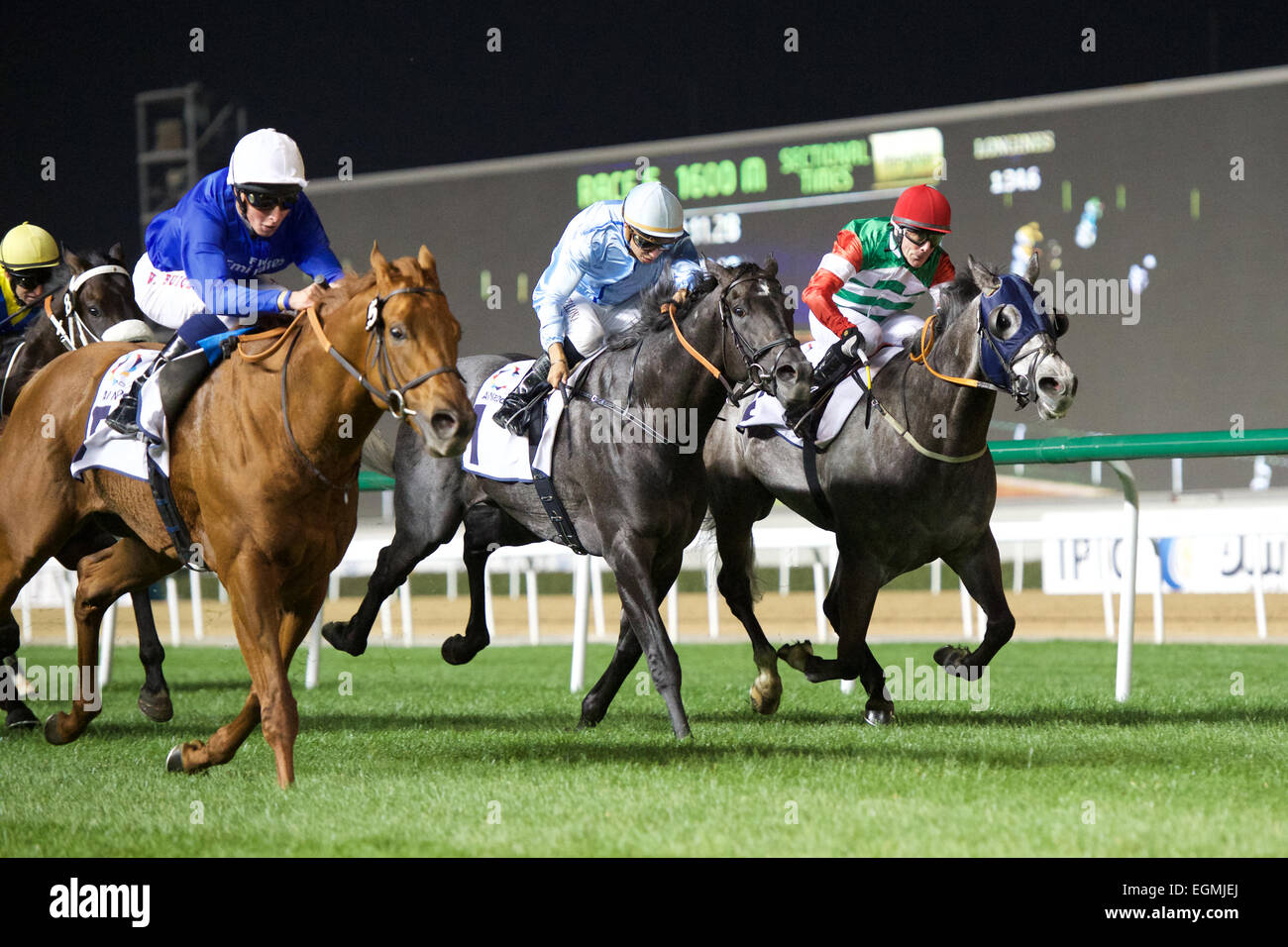 Meydan Racecourse, Dubai, UAE. 26th February, 2015. Safety Check races ...