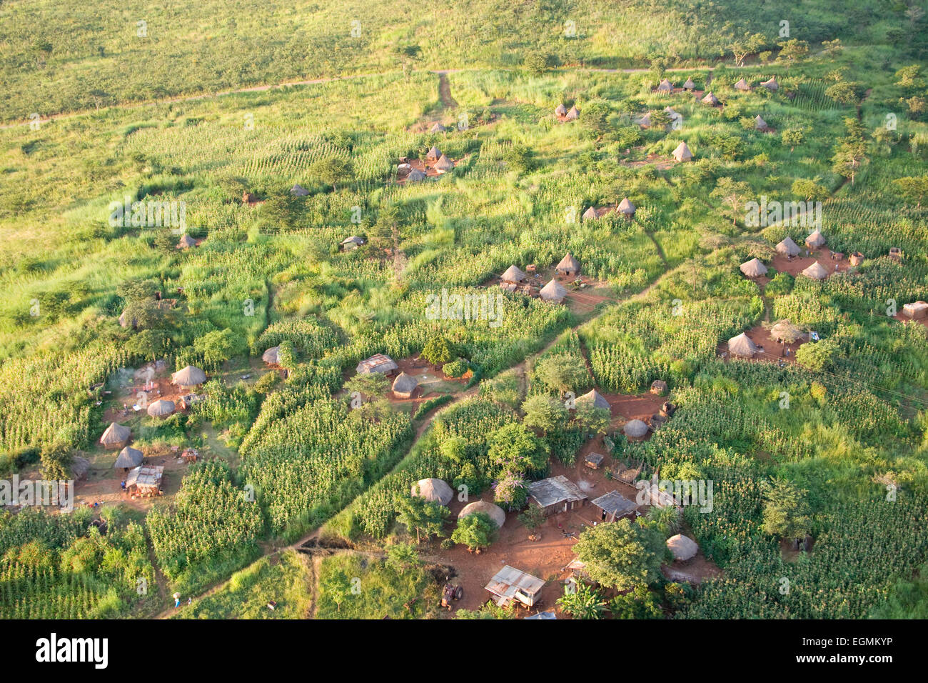 Indigenous crops hi-res stock photography and images - Alamy