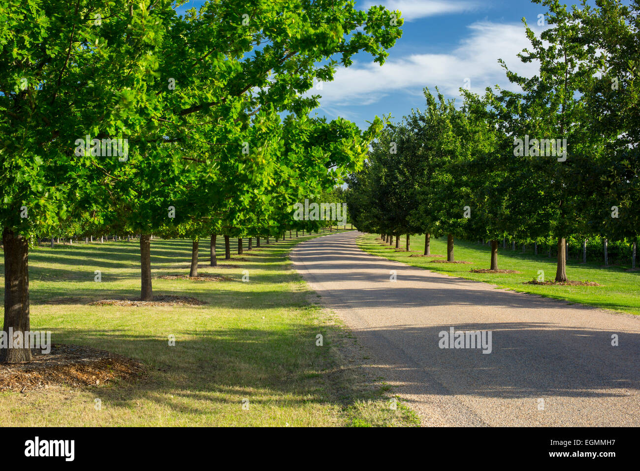 Road row hi-res stock photography and images - Alamy