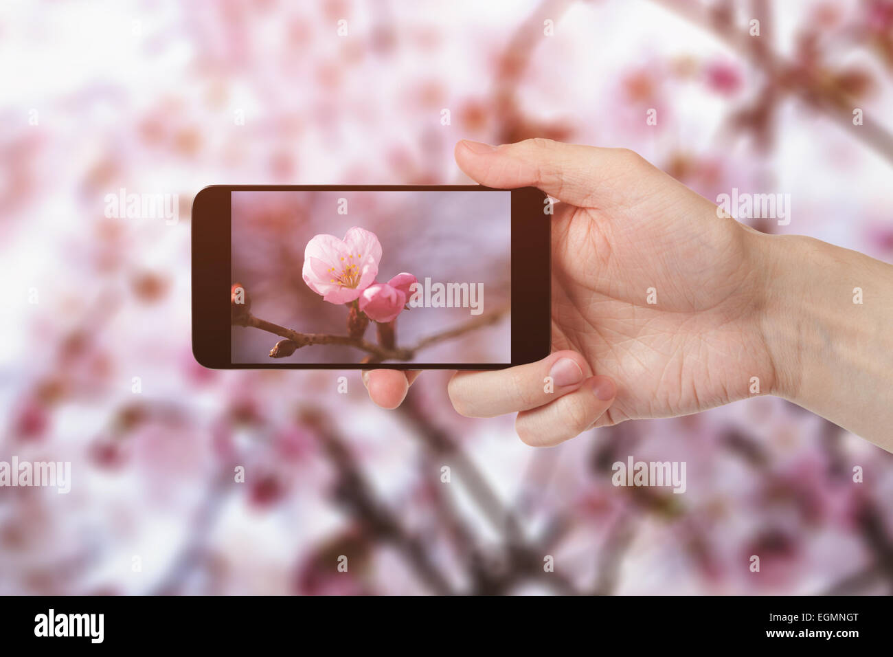 Hand taking photo hi-res stock photography and images - Alamy