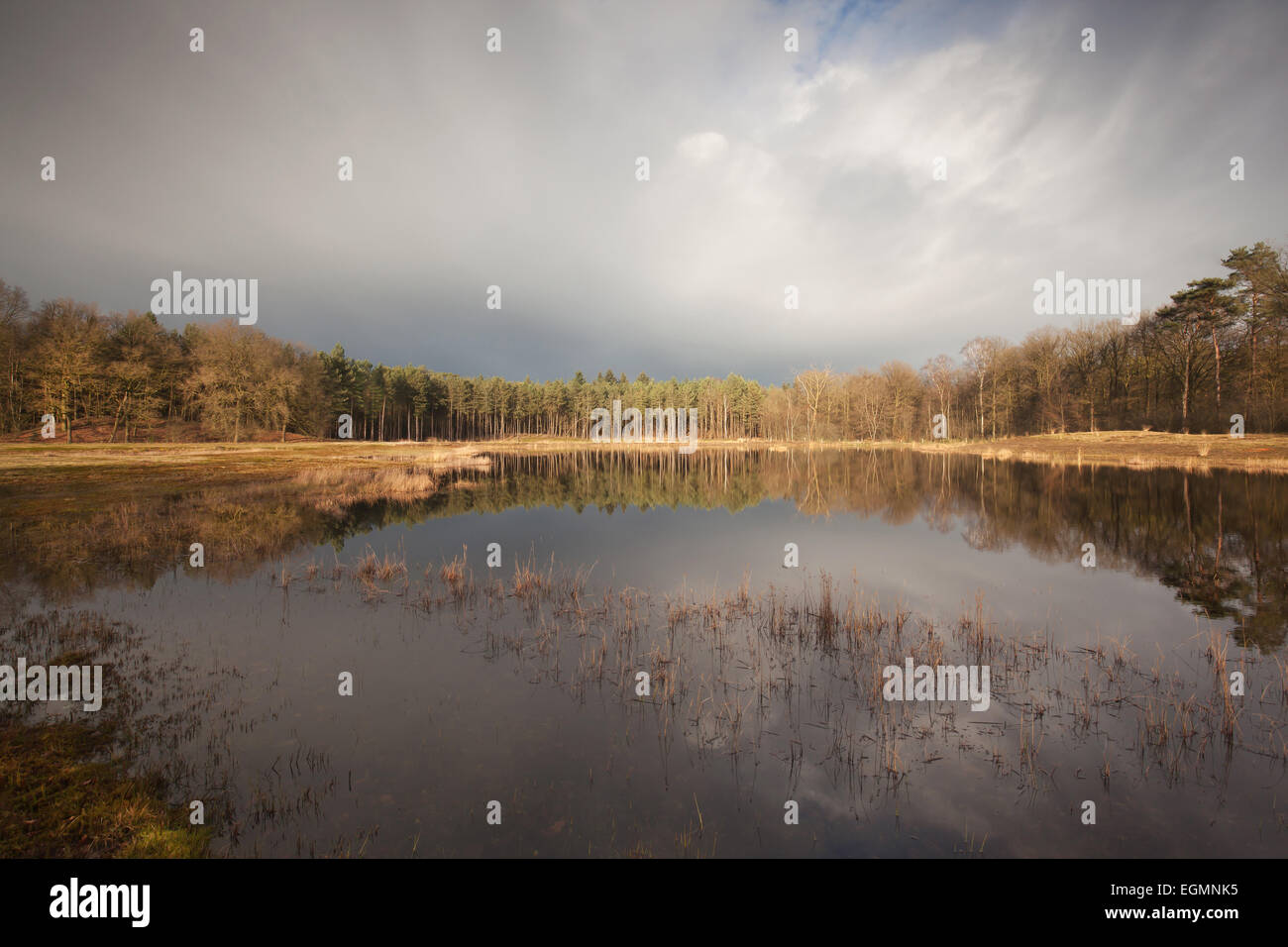 Fen landscape hi-res stock photography and images - Alamy