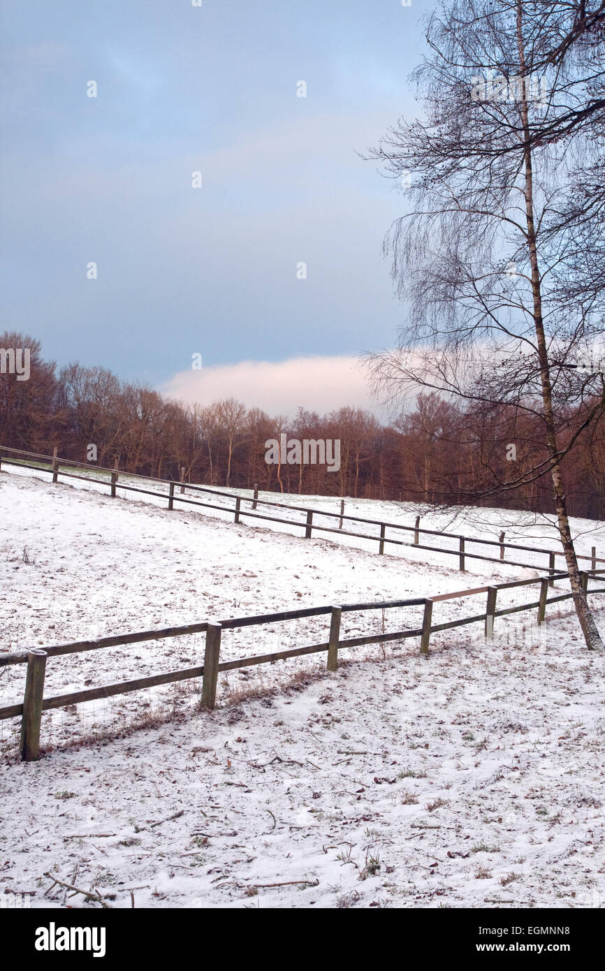 Trees snow fence hi-res stock photography and images - Alamy