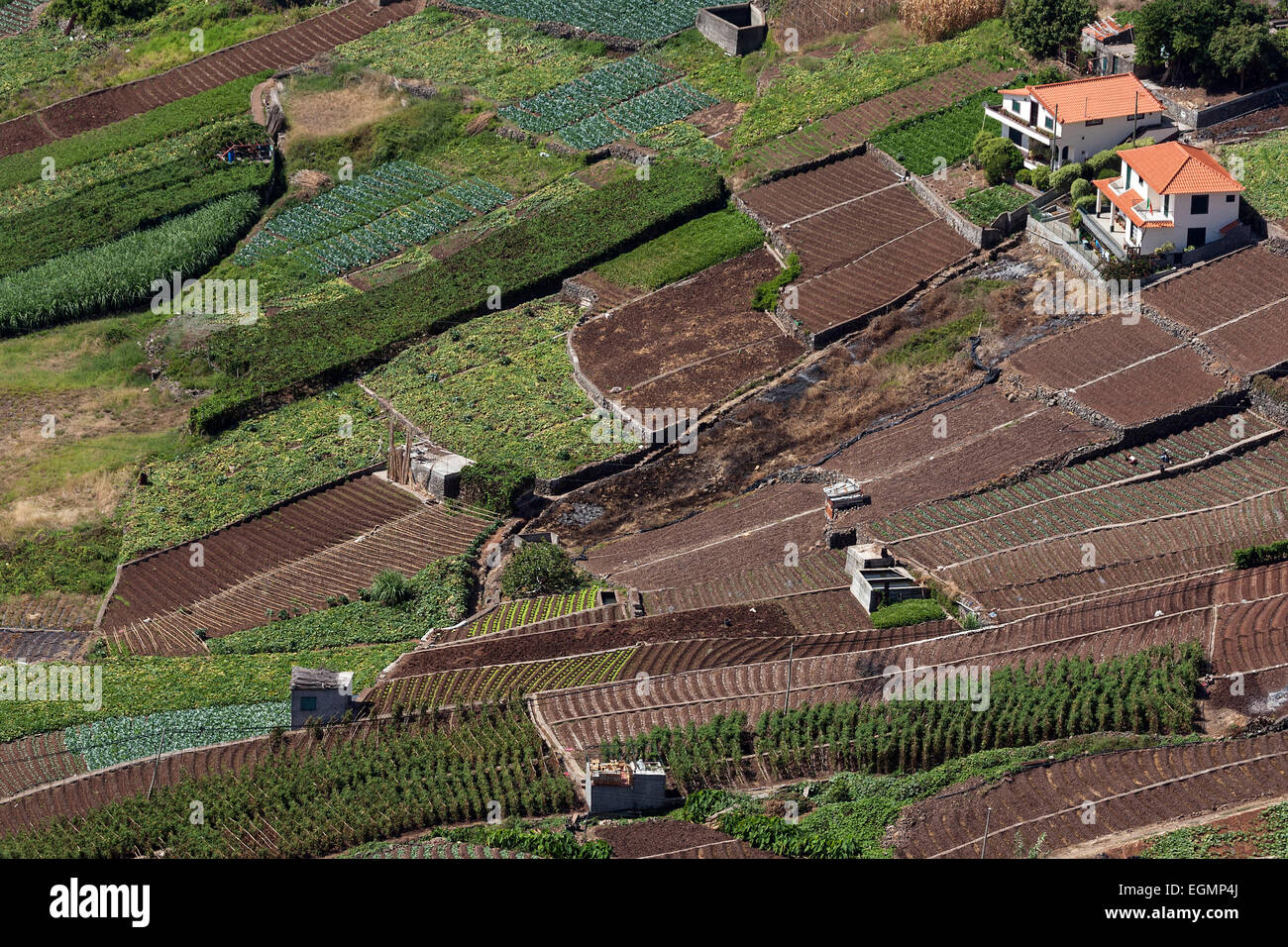 Terrace cultivation madeira portugal hi-res stock photography and ...