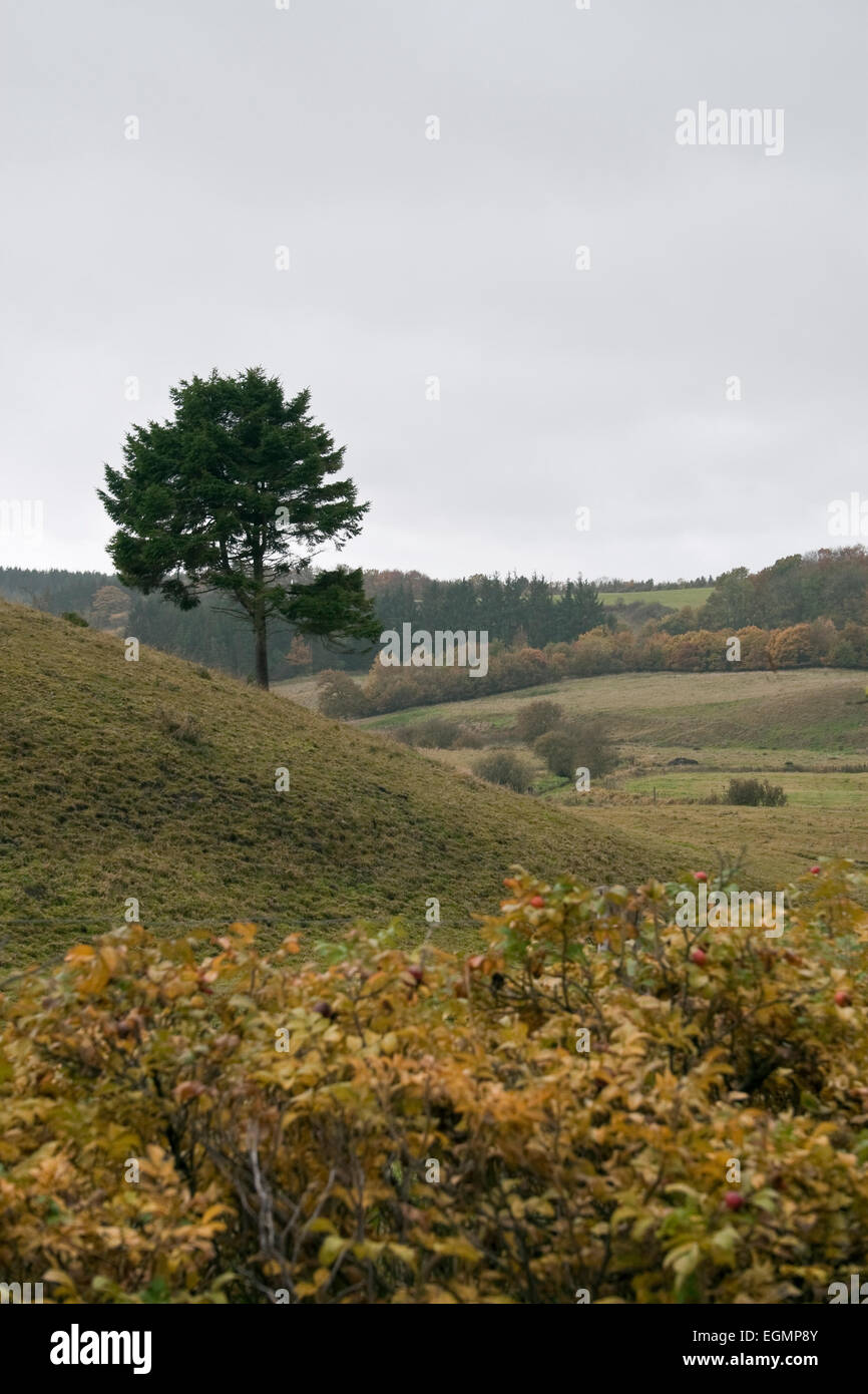 Tree grass slope hi-res stock photography and images - Alamy