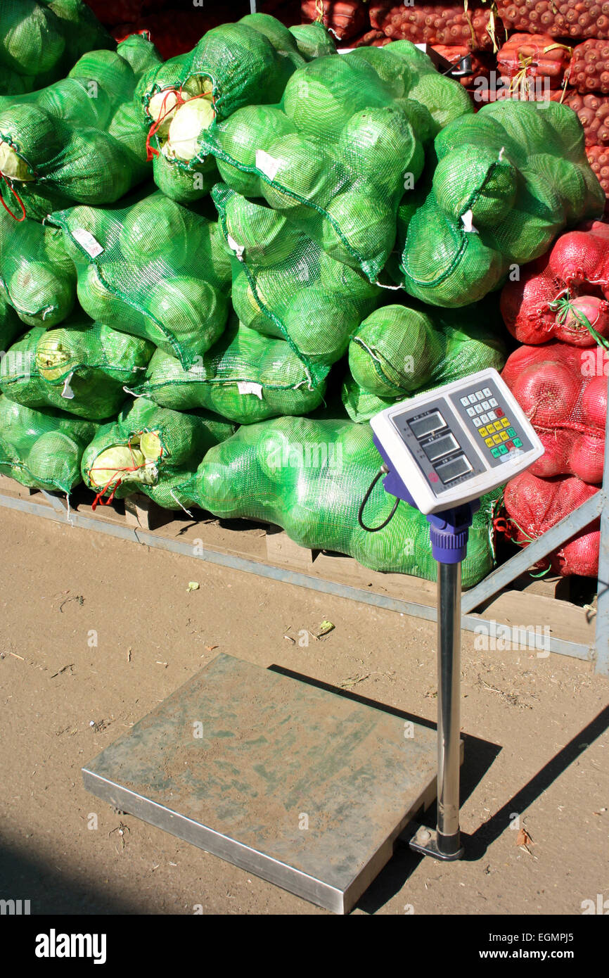 Fresh vegetables in bags in a vegetable warehouse Stock Photo - Alamy