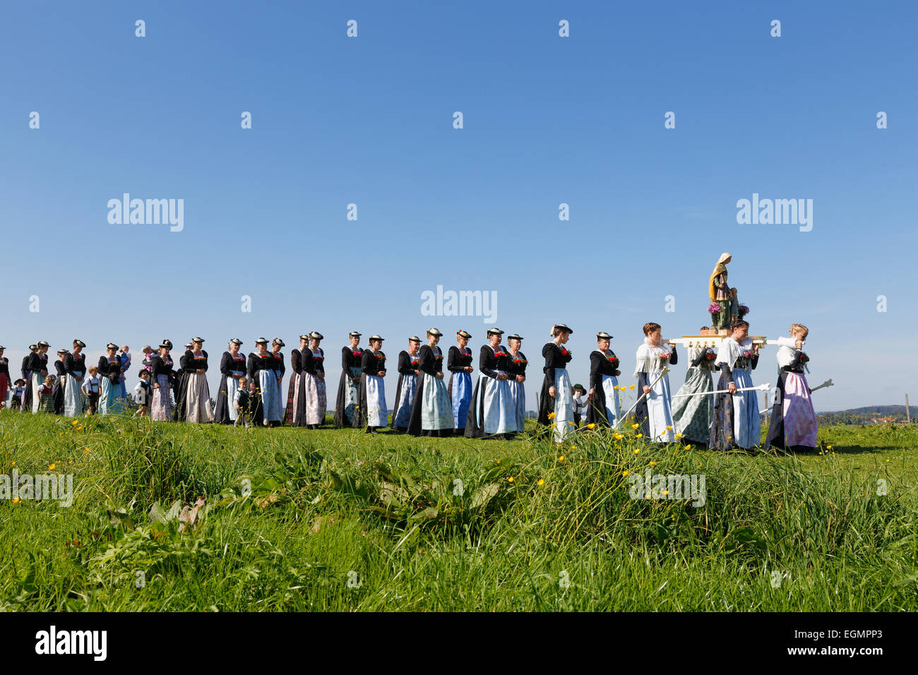 Michaelmas hi-res stock photography and images - Alamy