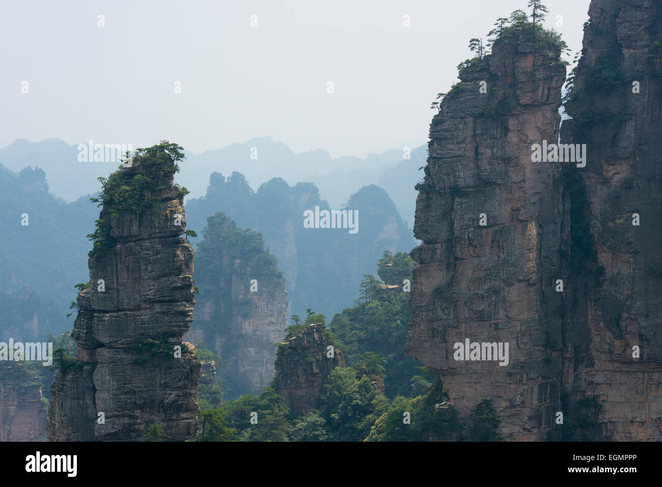 Sandstone pillars in the mountains of Zhangjiajie, Wulingyuan Scenic ...