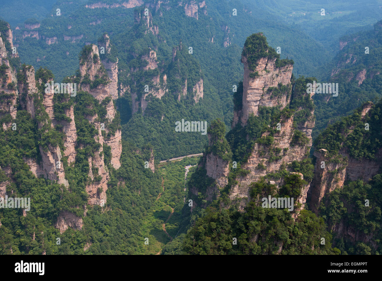 Sandstone pillars in the mountains of Zhangjiajie, Wulingyuan Scenic ...