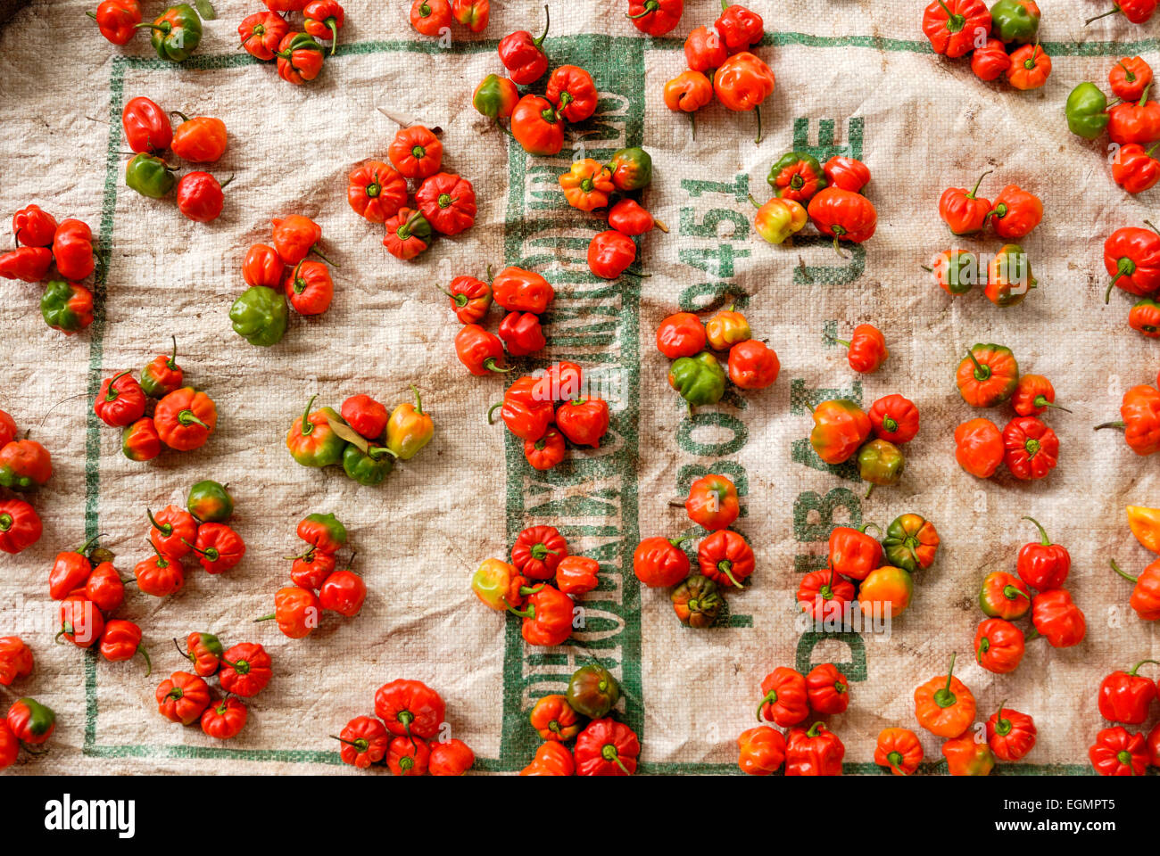 Moheli comoros hi-res stock photography and images - Alamy