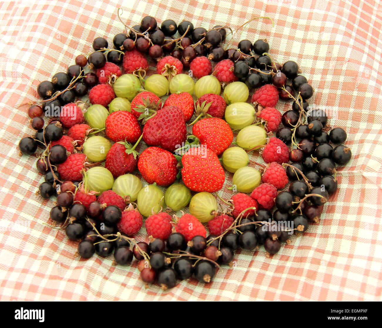 A Display of Fruit Berries on a Chequered Cloth Stock Photo - Alamy
