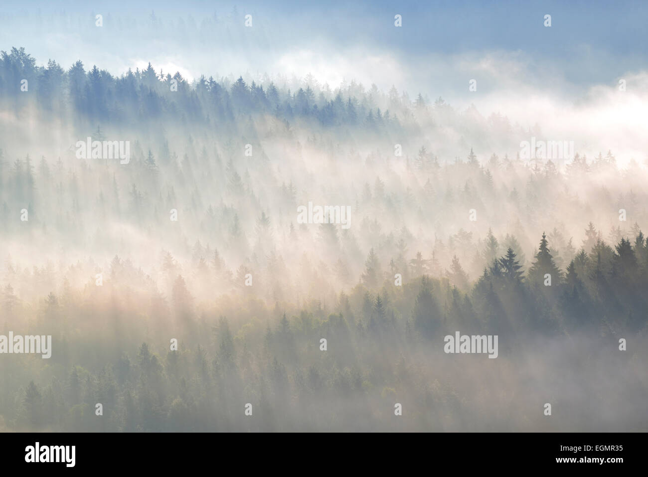 Over the treetops hi-res stock photography and images - Alamy