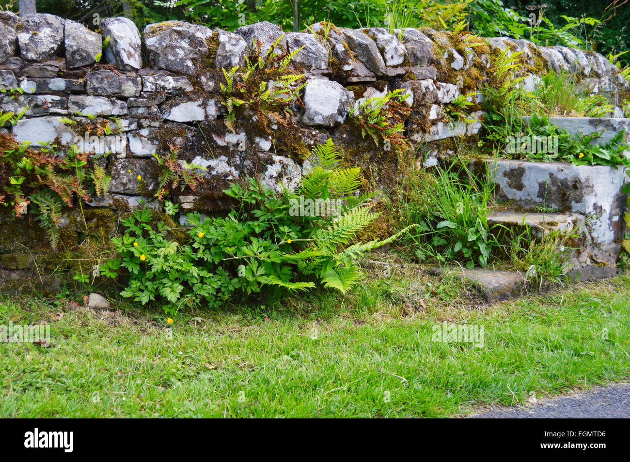 Wall and steps hi-res stock photography and images - Alamy