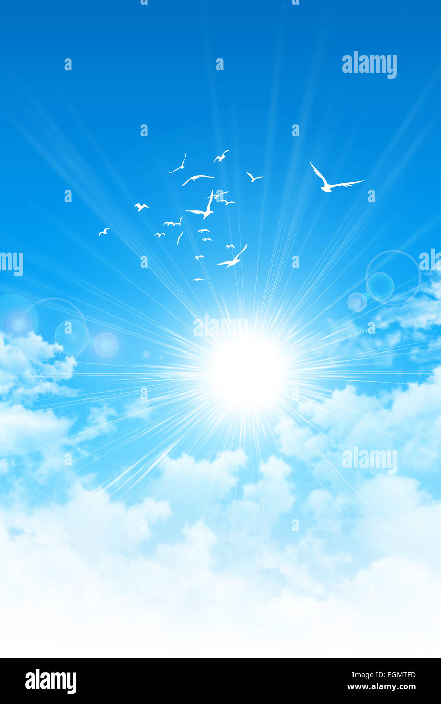 Spring sunrise. The sun breaking through white clouds. Birds flight ...