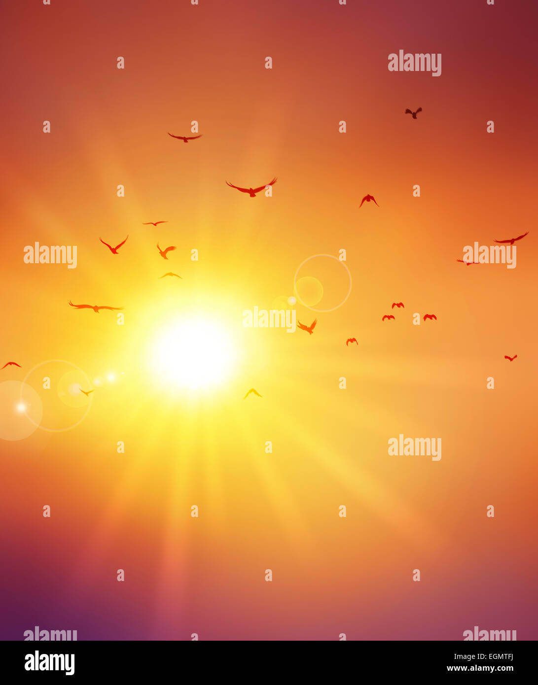 Summer summertime sun hi-res stock photography and images - Alamy