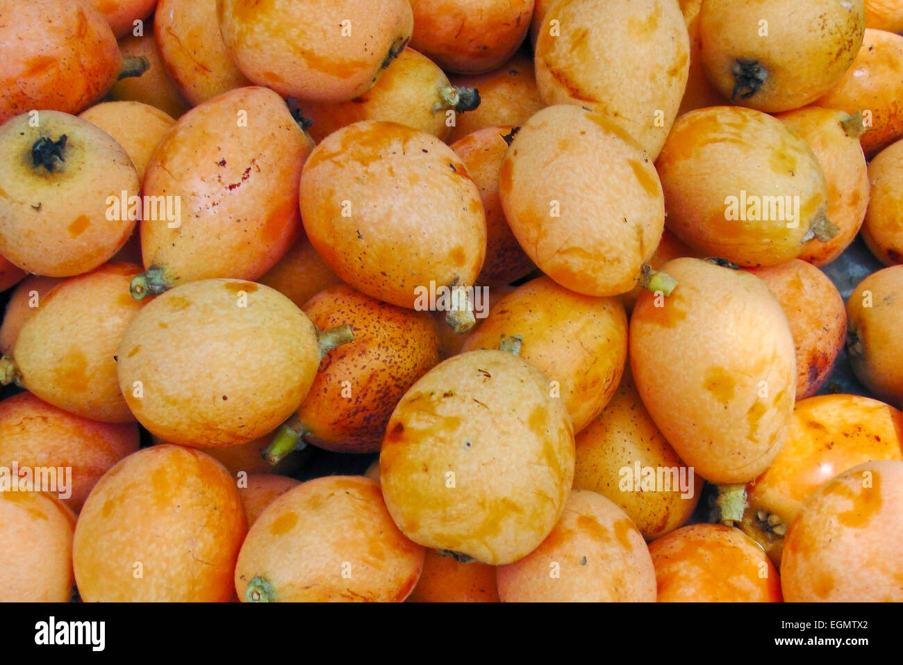 Japan medlar hi-res stock photography and images - Alamy