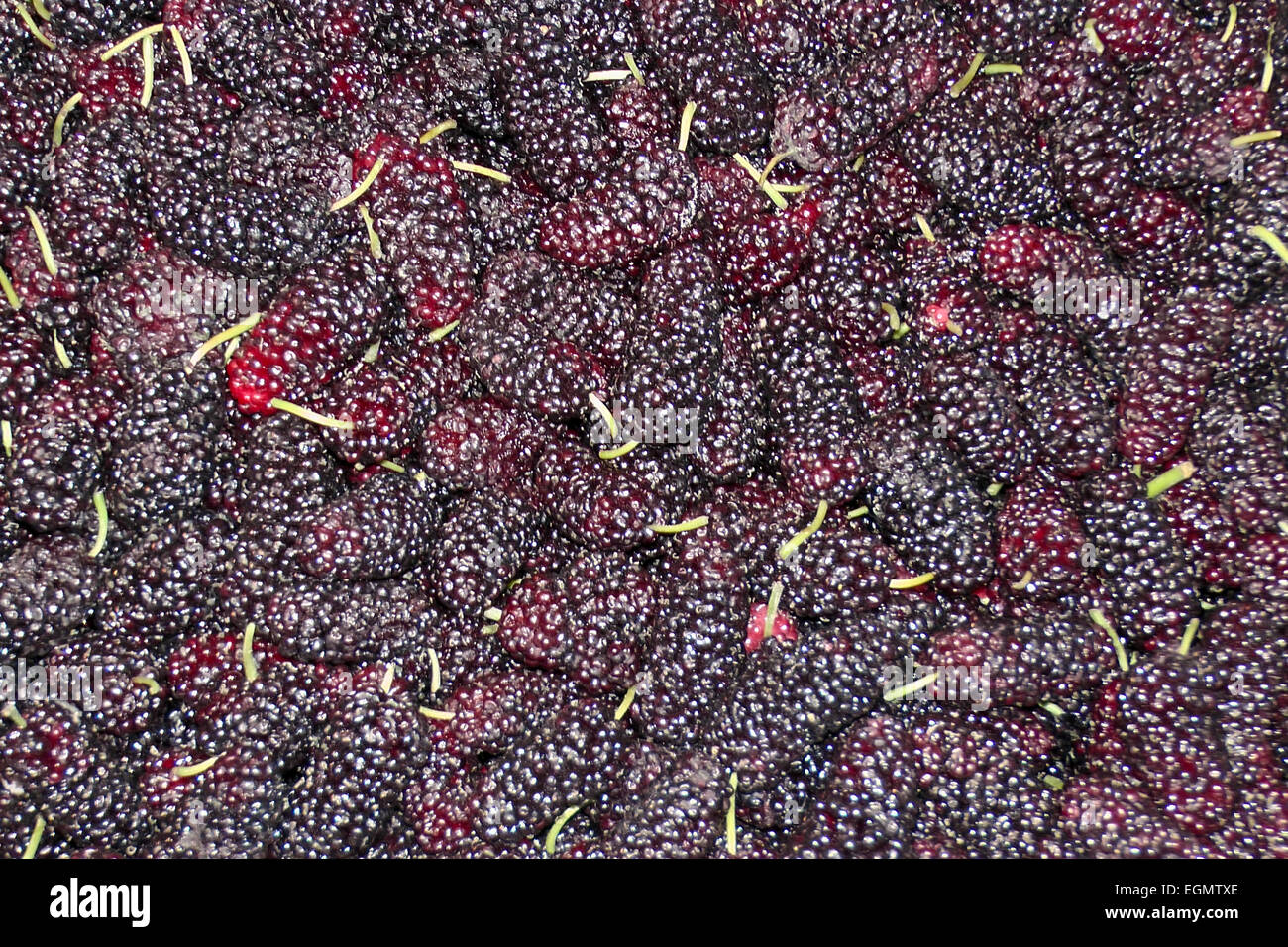 Palatable hi-res stock photography and images - Alamy