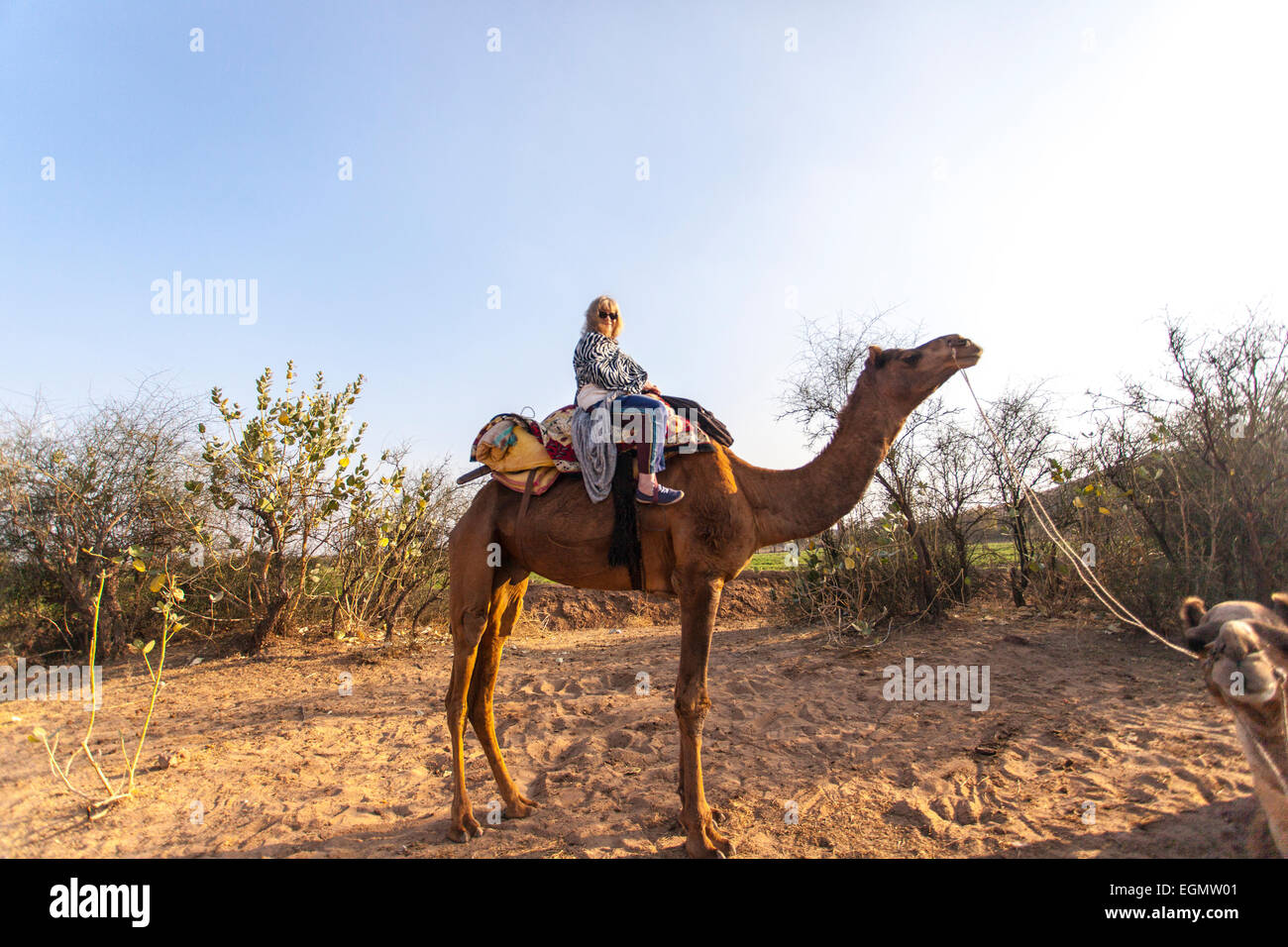 Indian desert Osian Stock Photo - Alamy