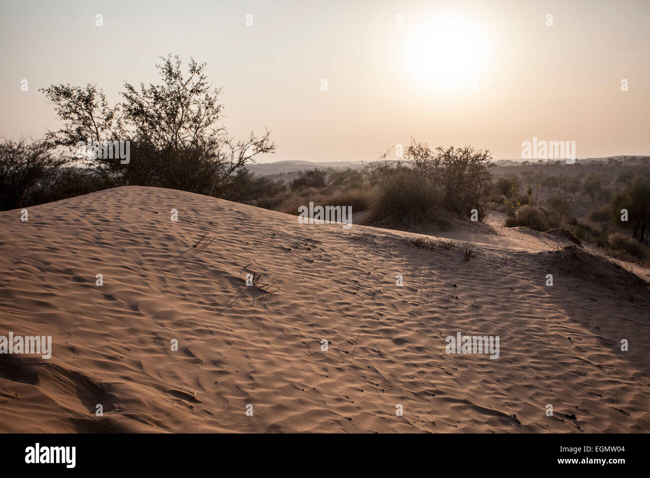 Indian desert hi-res stock photography and images - Alamy
