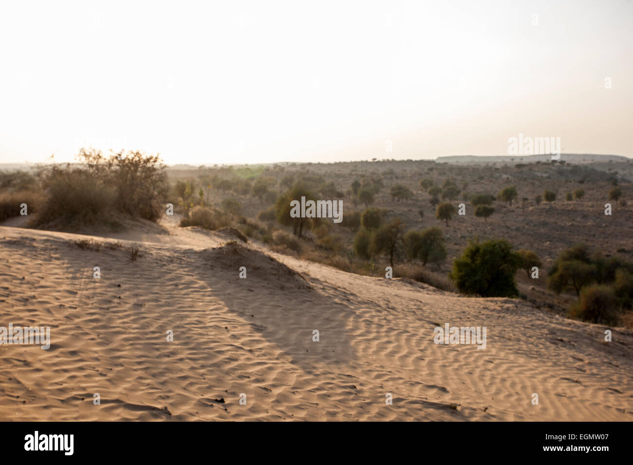 Indian desert Osian Stock Photo - Alamy