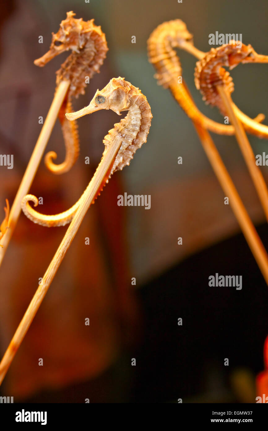 Exotic dish - fried sea horse Stock Photo - Alamy