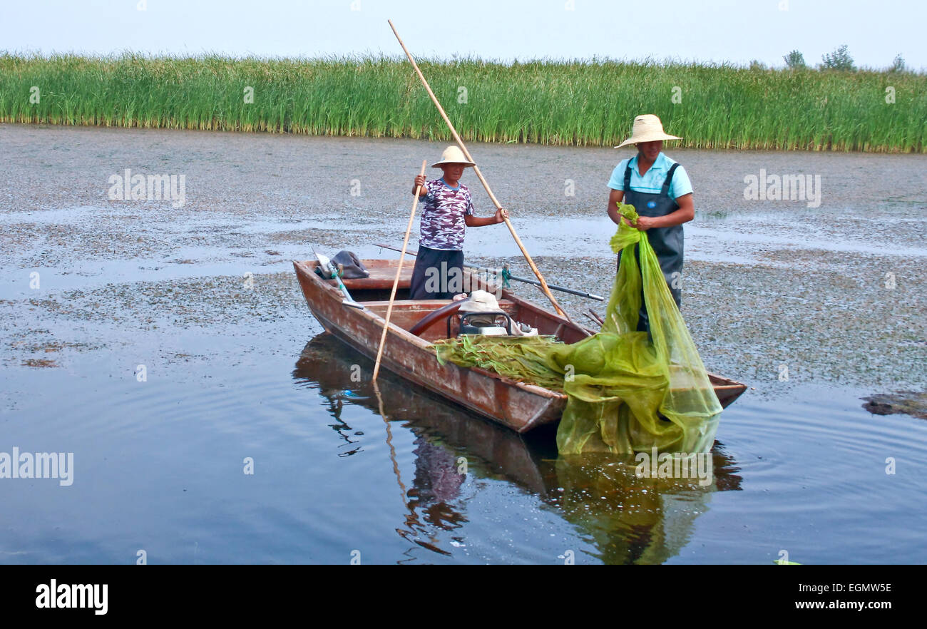 Fishing for freshwater fish in the pond Stock Photo - Alamy