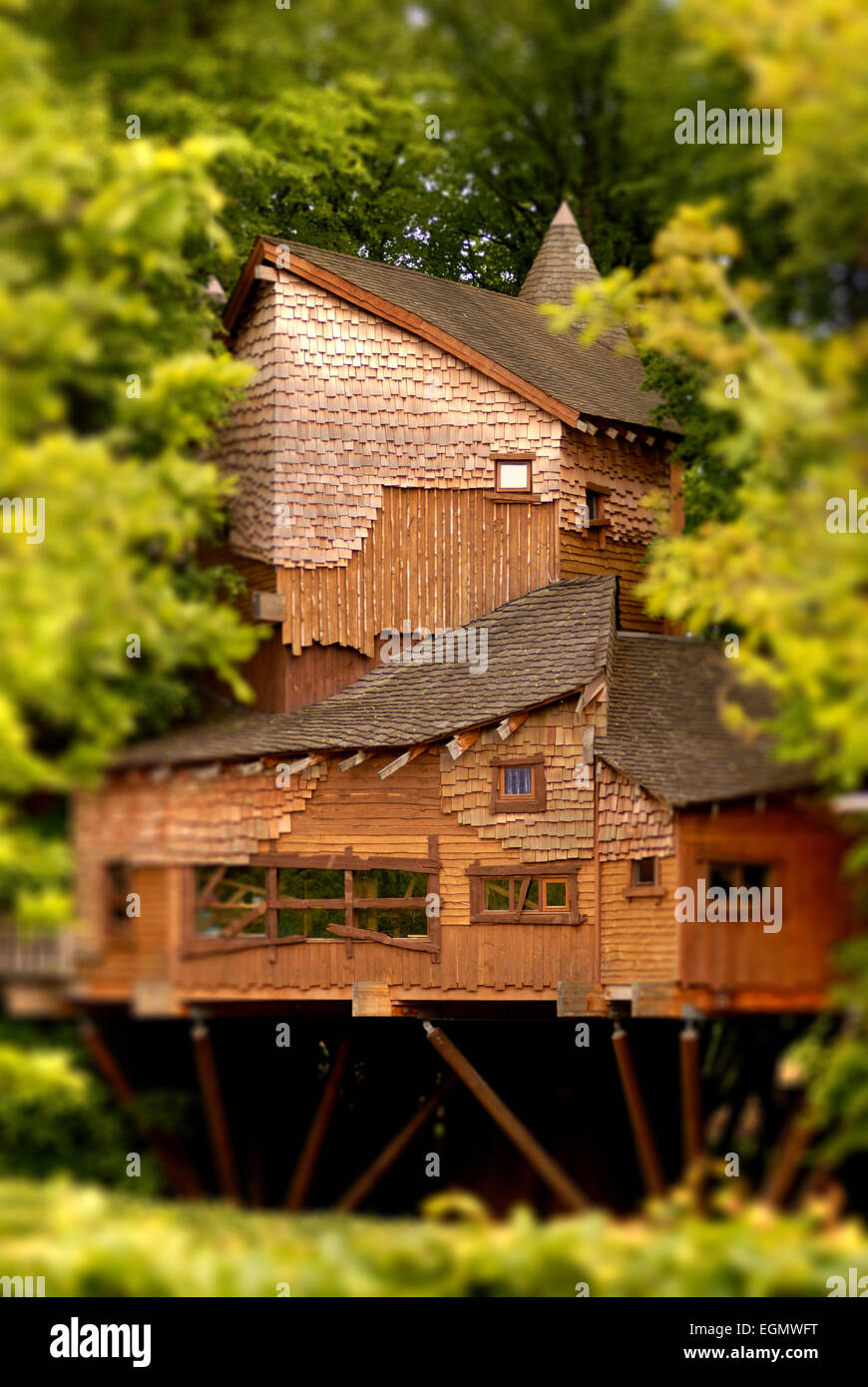 Alnwick garden treehouse hi-res stock photography and images - Alamy