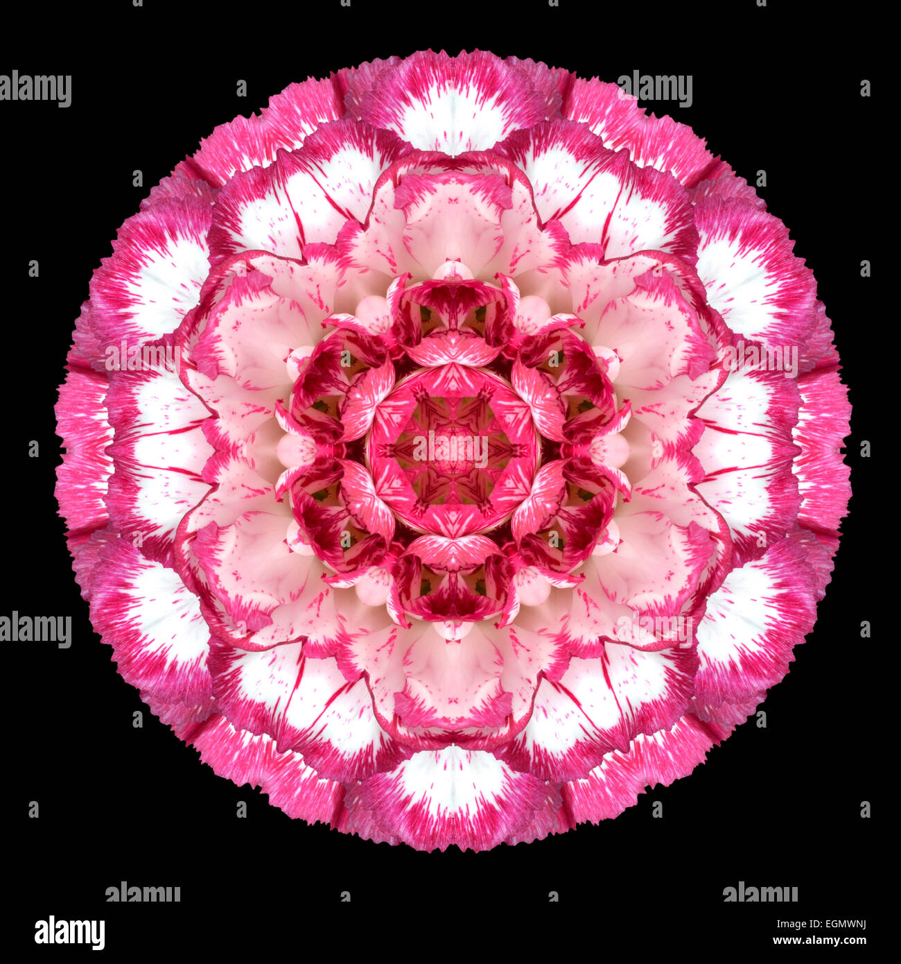 Purple Flower Mandala. Kaleidoscopic design Isolated on Black ...