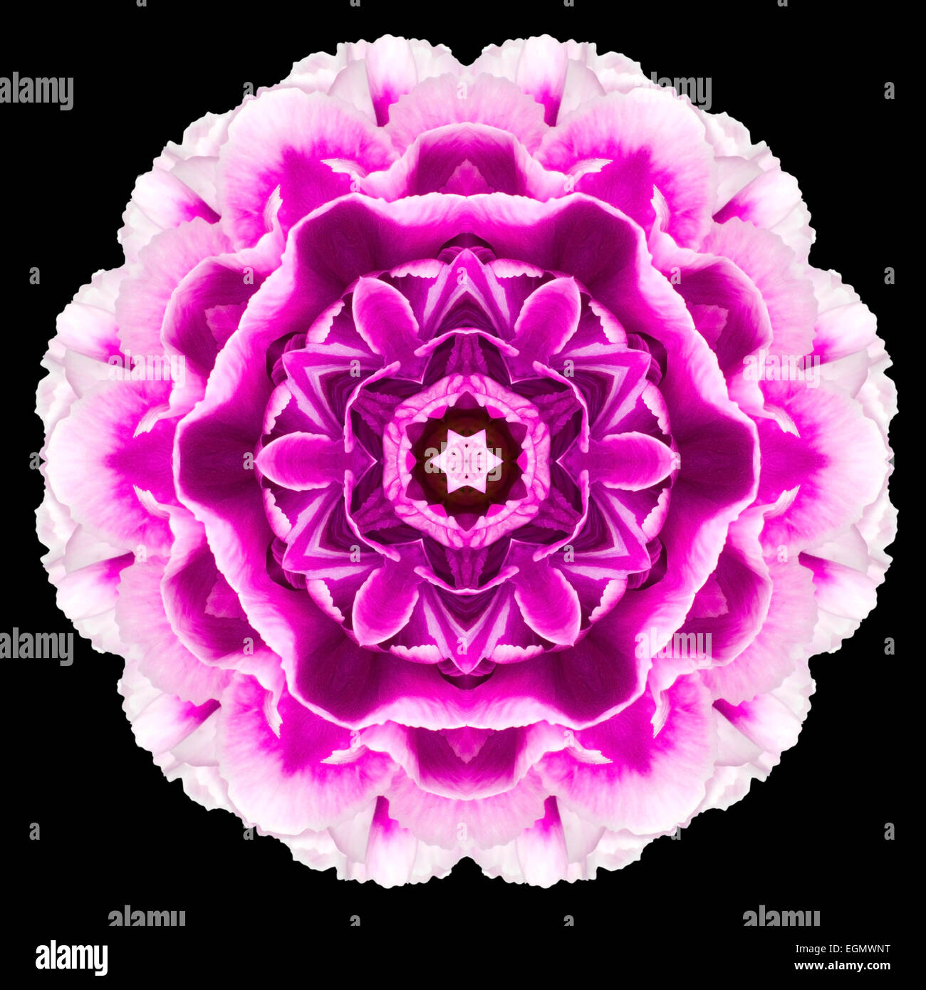 Purple Flower Mandala. Kaleidoscopic design Isolated on Black ...