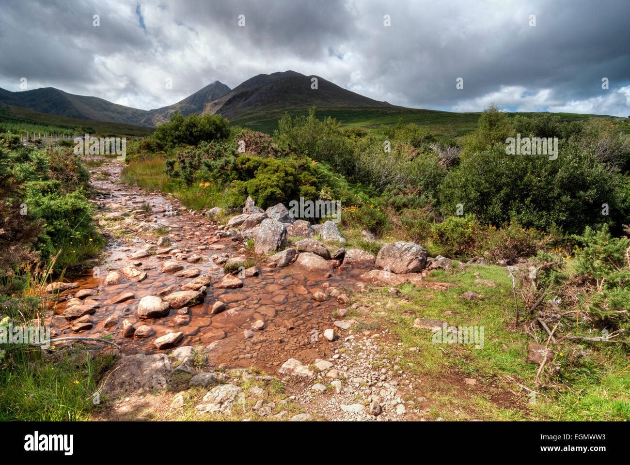 Mountain Stream running through wild area in County Kerry, Republic of ...