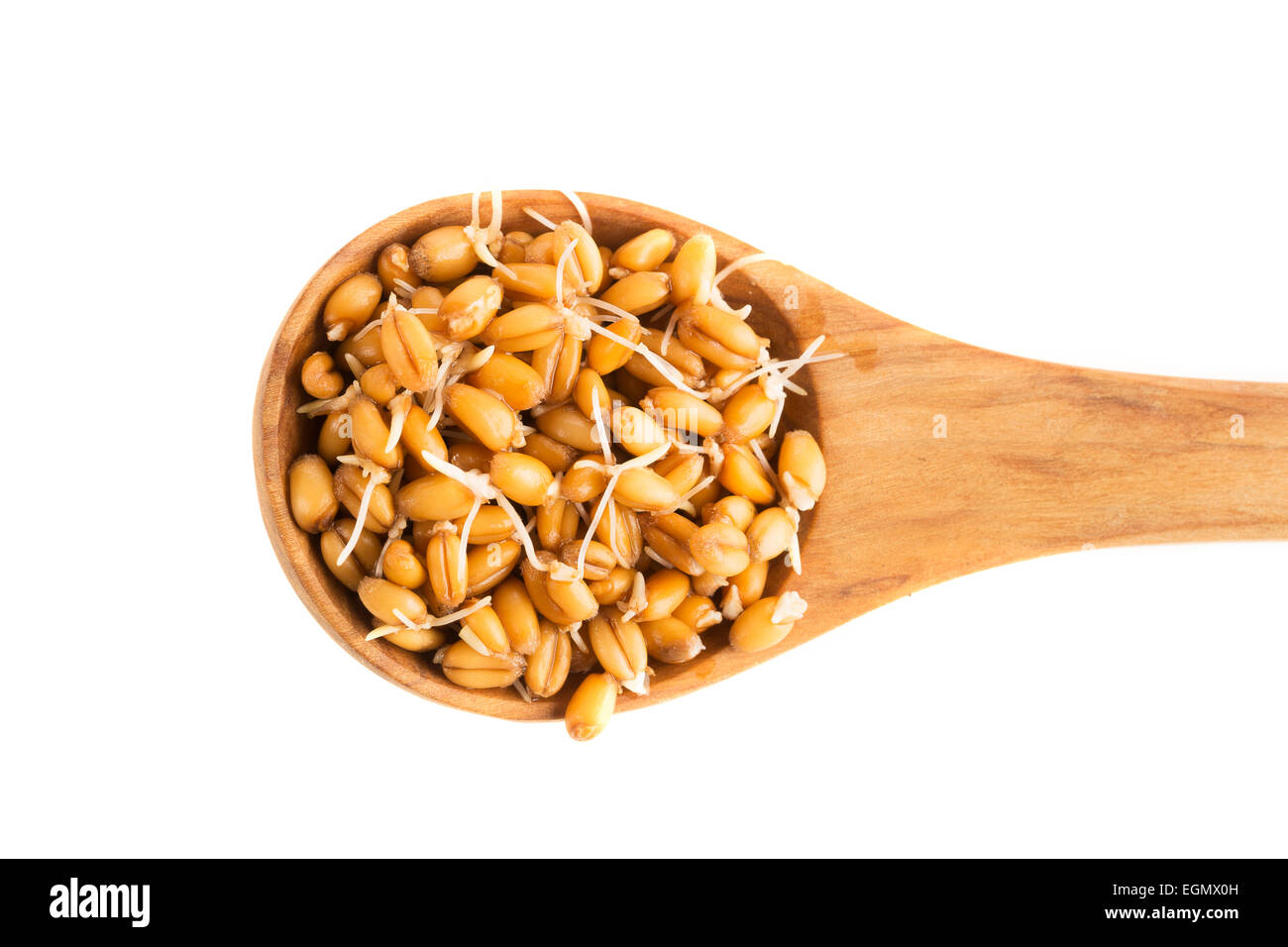 Whole Wheat Berries Stock Photos & Whole Wheat Berries Stock Images - Alamy
