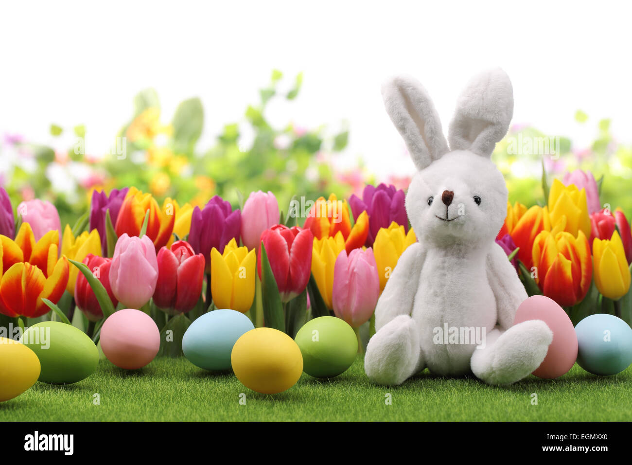 Spring flowers meadow rabbit hi-res stock photography and images - Alamy