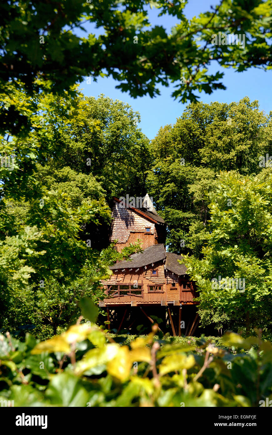 The Treehouse, Alnwick Garden Stock Photo - Alamy